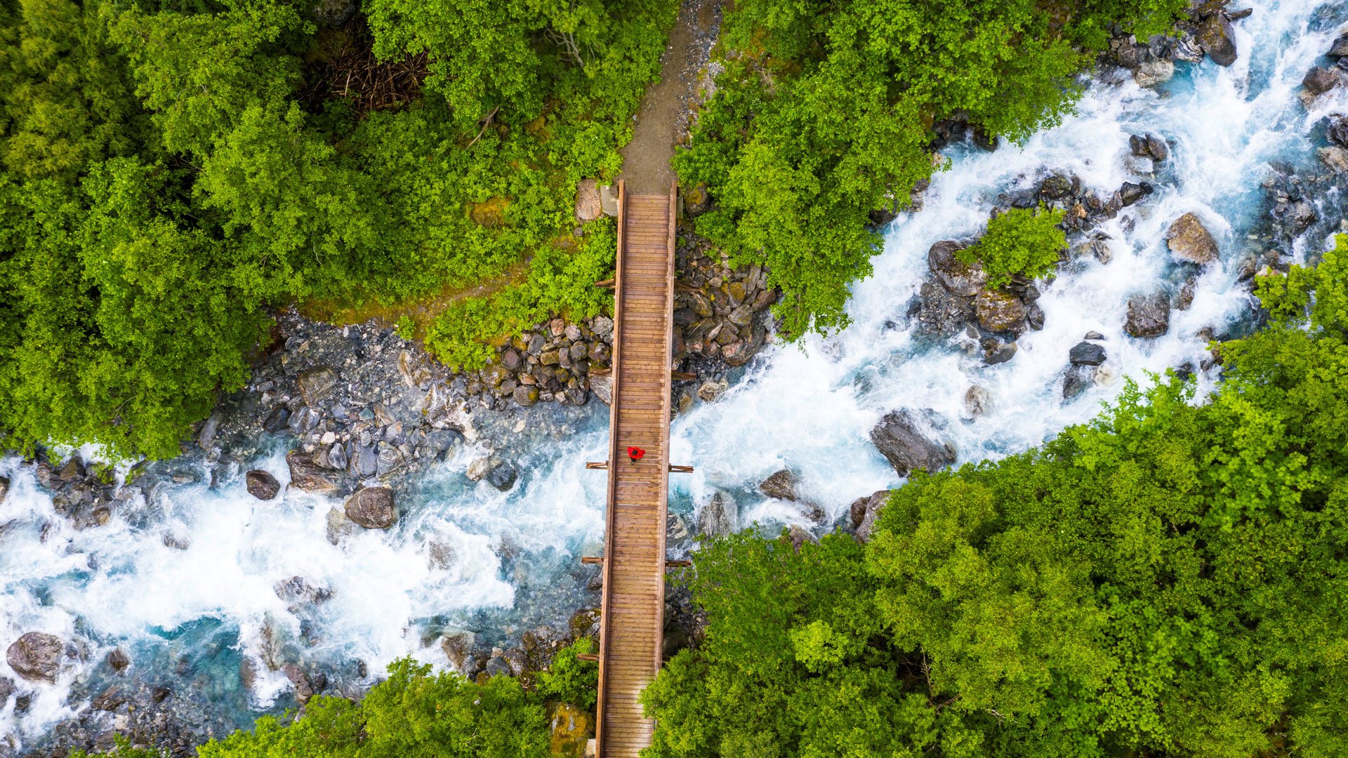 Label life 服务 | 芬欧蓝泰标签